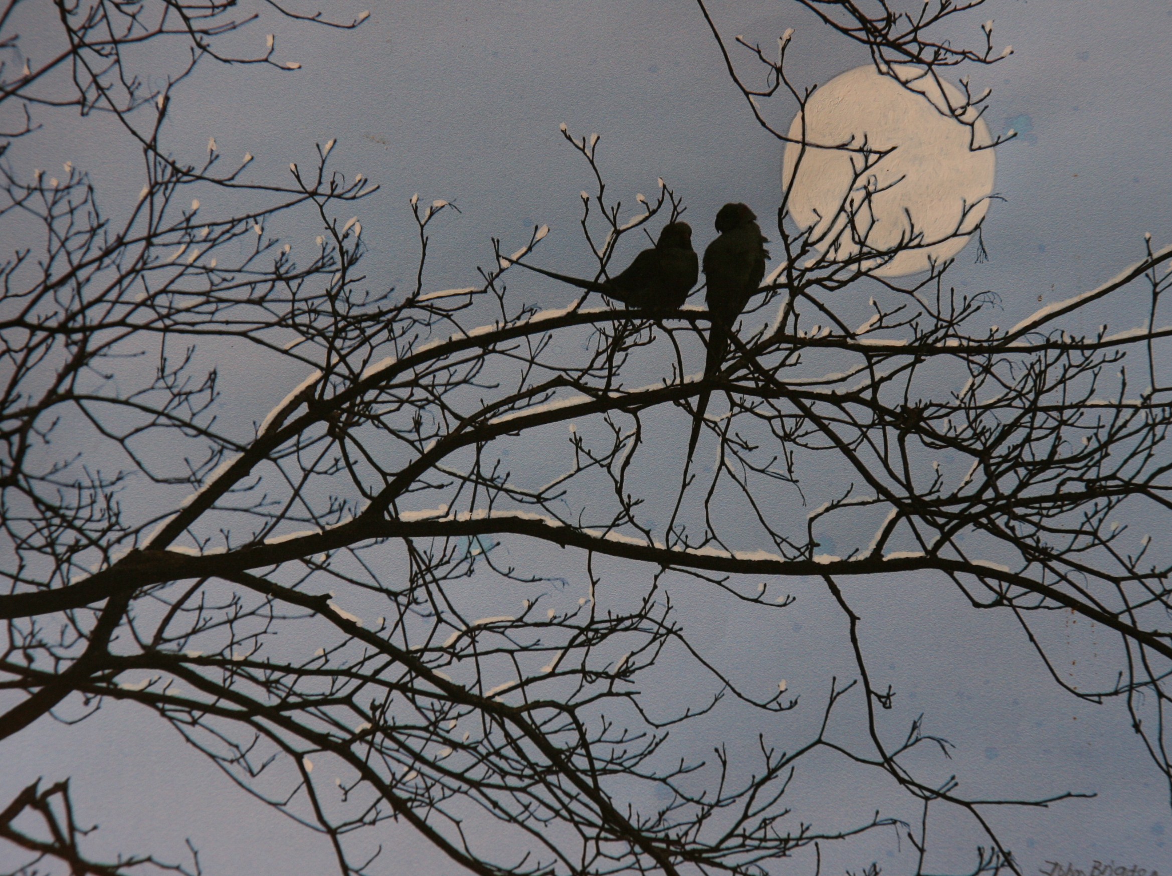 Places | John Brigden